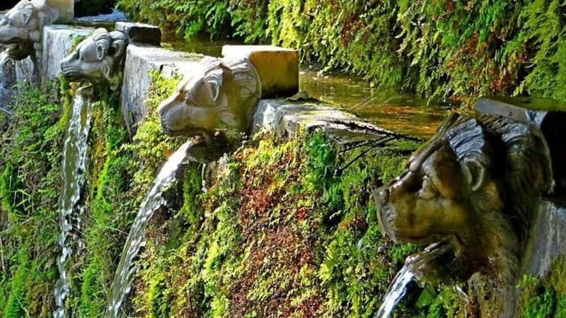 Menites Springs & Cave Foros - Half Day Tour - FAQ