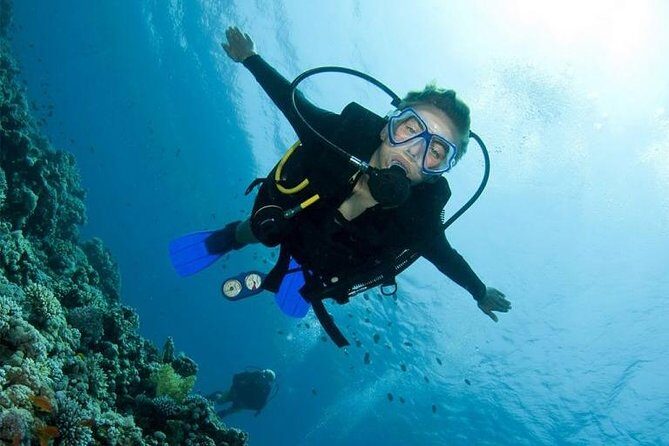 Menjangan Island Bali Diving Activity - Who Should Consider This Tour?