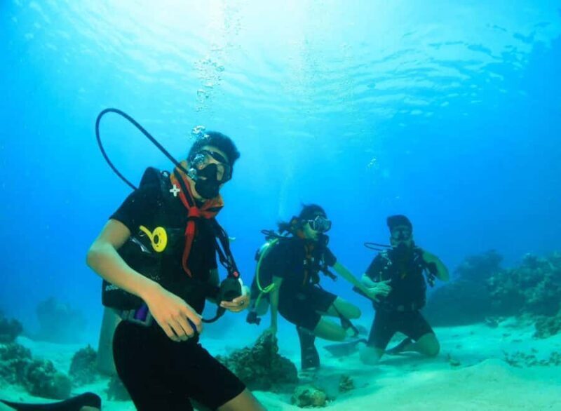 Menjangan Island: Fun Diving Experience - Introduction: What’s This Tour All About?