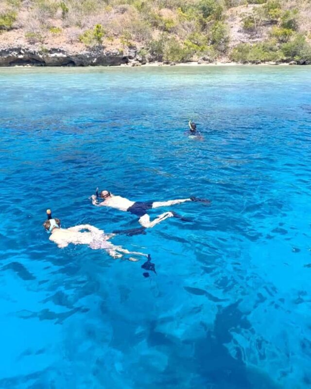 Menjangan Island: Snorkeling Tour with Lunch - Key Points