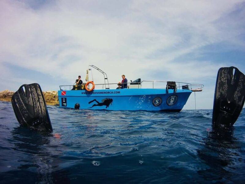 Menorca: Baptism Scuba Diving in Marine Reserve - Key Points