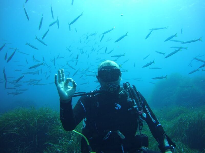 Menorca: Baptism Scuba Diving in Marine Reserve - Is It Worth the Price?