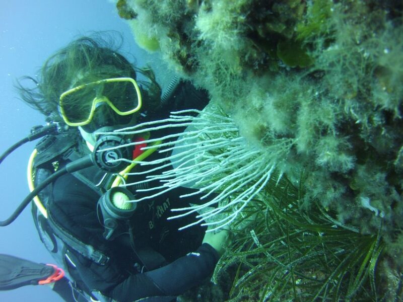 Menorca: Baptism Scuba Diving in Marine Reserve - Practical Tips for Participants