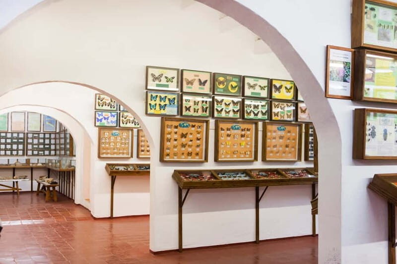 Menorca: Binissuès Museum & Cheese Making Demonstration - Who Will Love This Tour?