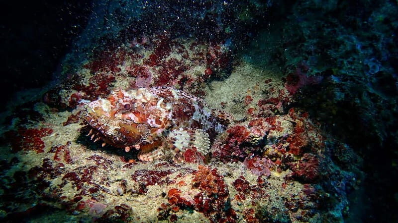 Menorca: Cala Galdana Try Scuba Diving for Beginners - The Sum Up