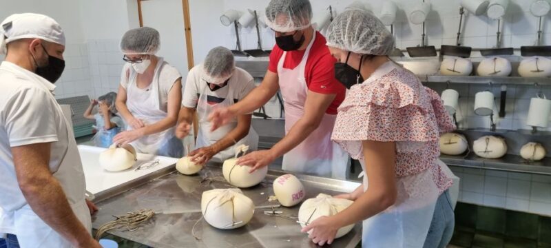 Menorca: Cheesemaking and Farm-Fresh Product Tasting - Key Points