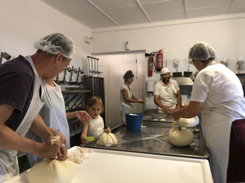 Menorca: Cheesemaking and Farm-Fresh Product Tasting - Introduction to the Cheesy Charm of Menorca