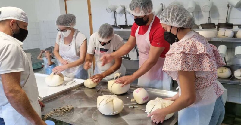 Menorca: Cheesemaking and Farm-Fresh Product Tasting - The Value of the Experience