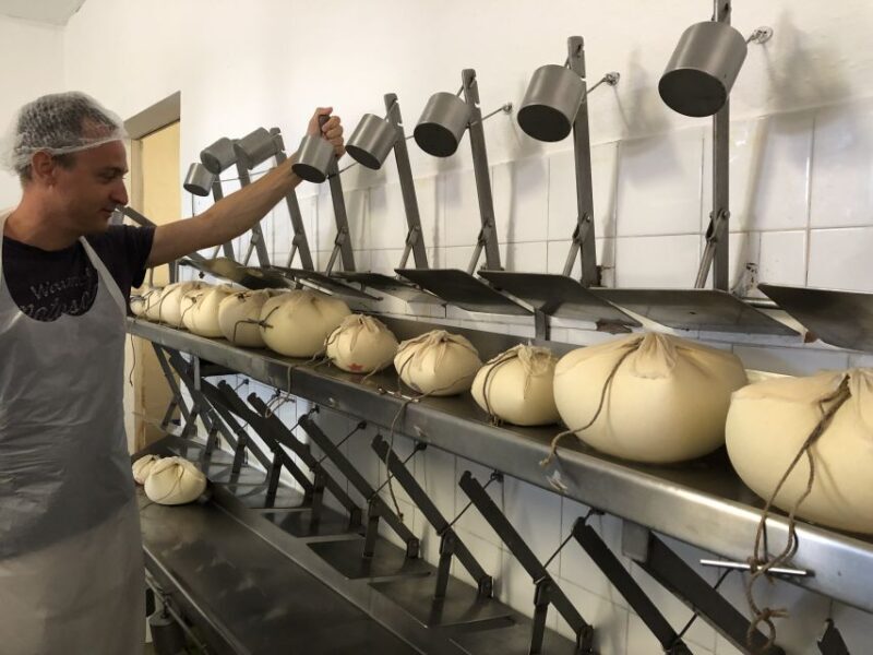 Menorca: Cheesemaking and Farm-Fresh Product Tasting - Insights from Participants