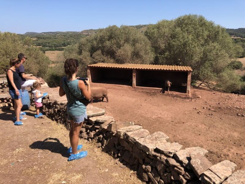 Menorca: Cheesemaking and Farm-Fresh Product Tasting - FAQ