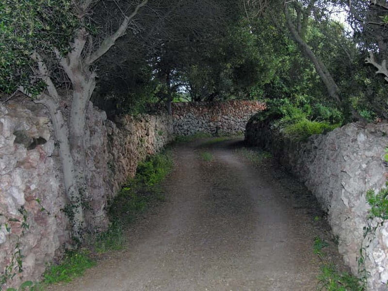 Menorca: E-Bike Tour From Punta Prima to Binibeca - Key Points