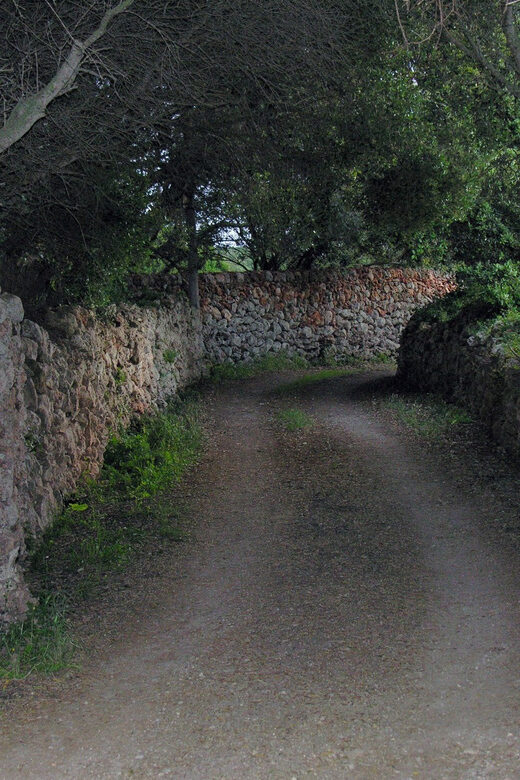 Menorca: E-Bike Tour From Punta Prima to Binibeca - The Sum Up