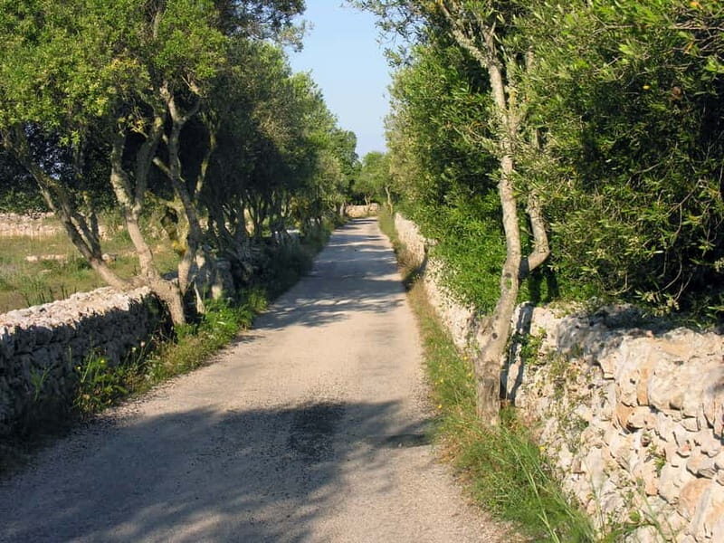 Menorca: E-Bike Tour From Punta Prima to Es Castell - Key Points