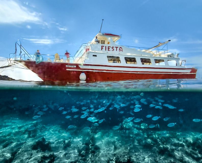Menorca: Full-Day Boat Tour with Paella Lunch - Key Points