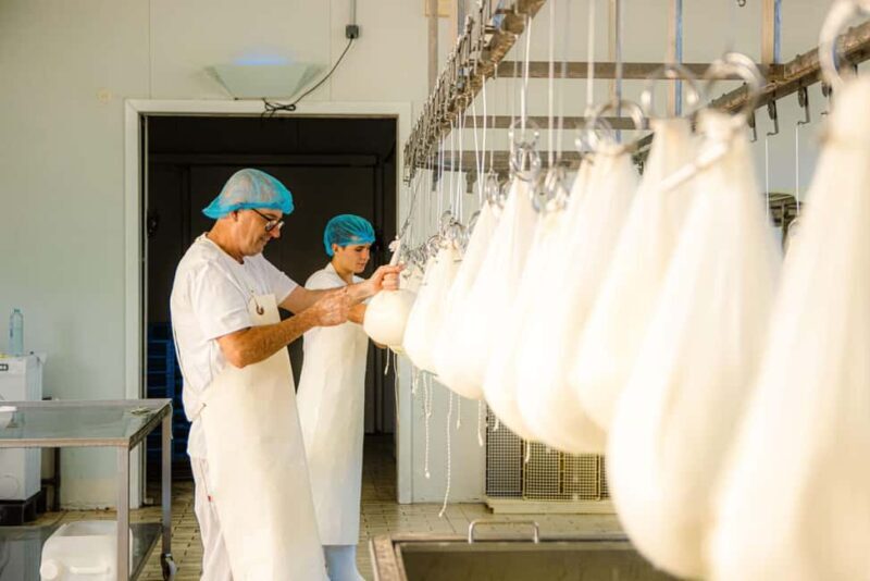 Menorca: Guided visit to the Subaida cheese factory, - A detailed look at the Subaida cheese farm tour