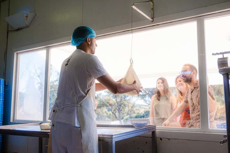 Menorca: Guided visit to the Subaida cheese factory, - Final thoughts on the Subaida cheese farm tour