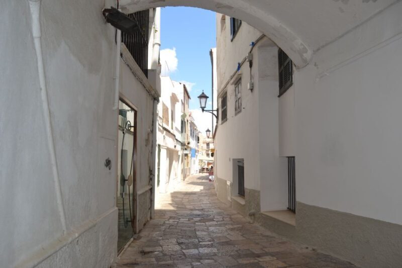 Menorca: Mahon Guided Tour with Cruise and Binibeca Visit - Final Thoughts