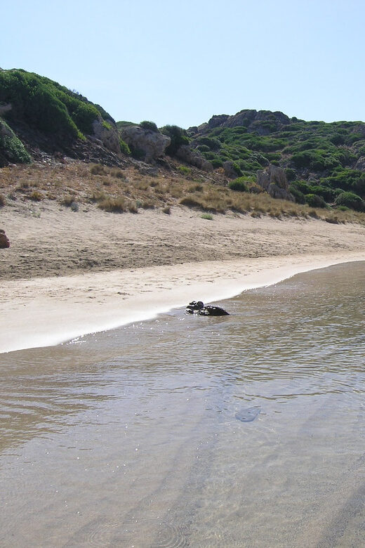 Menorca: Taxi-Boat from Es Grau to Colom Island - Key Points