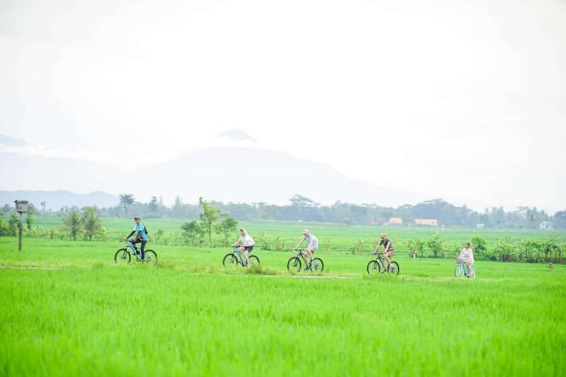 Menoreh Village Cycling Tour in Nanggulan - Final Thoughts: Who Will Love This Tour?