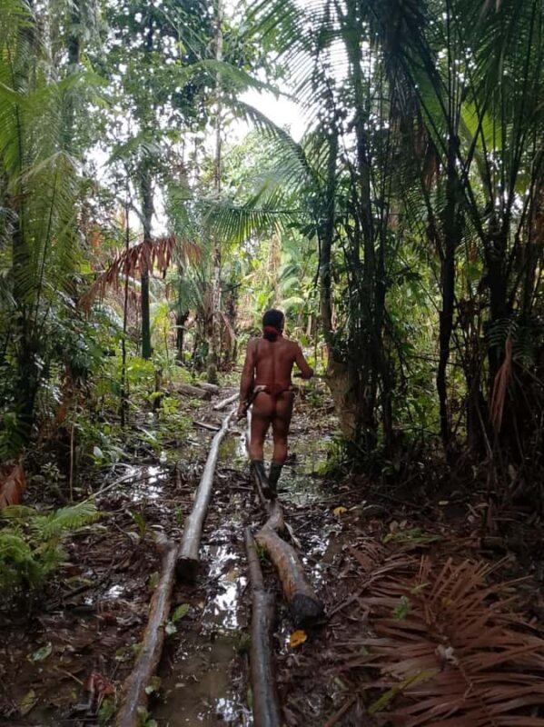 Mentawai: 5 Day Experience Cultural Journey with Shamans - Who Should Consider This Tour?