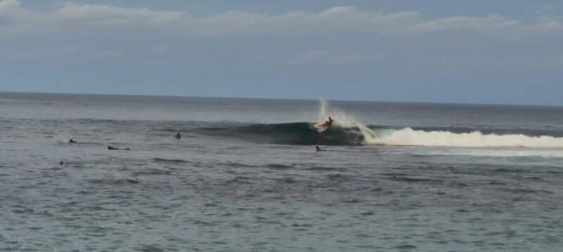 Mentawai Islands: 7-Day Surfing Adventure - Pricing and Value