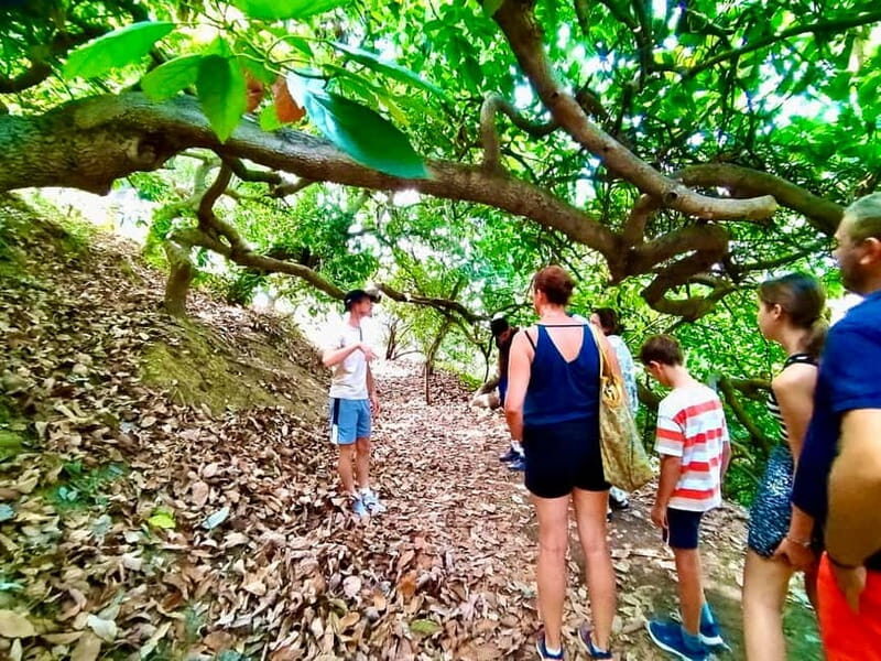 Menton: Citrus Farm, Old-Town & Botanic Full Day Tour - Starting Point and Transportation