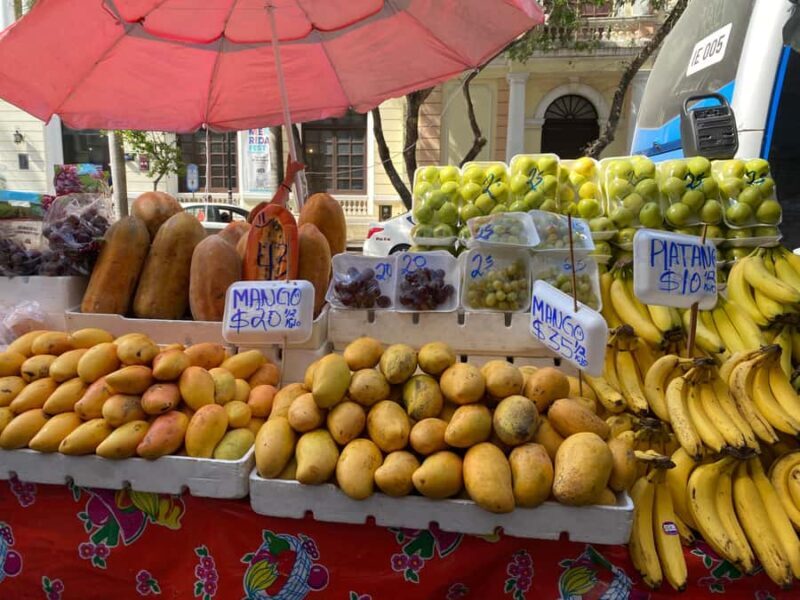 Mérida: Day of the Dead Cooking Experience - Who Will Love This Tour?