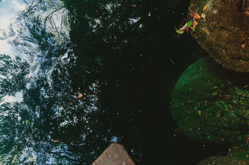 Merida: Explore With The One You Love, Day trip to Cenotes. - A Complete Look at the Experience