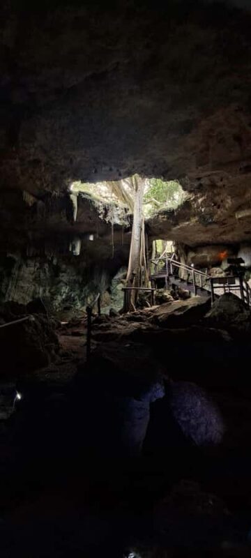 Merida: Hacienda Kampepen & Cenotes with Lunch & Pickup - An Authentic Yucatán Adventure with a Touch of History and Nature