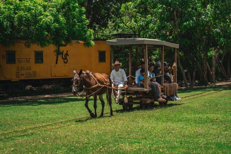 Merida: Hacienda Sotuta de Peon w/ Cenote & Henequen Tour - Reviews and Real Traveler Perspectives