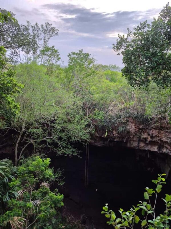 Merida: Hiking, Caving and Bat Watching Tour in the Yucatan - Key Points