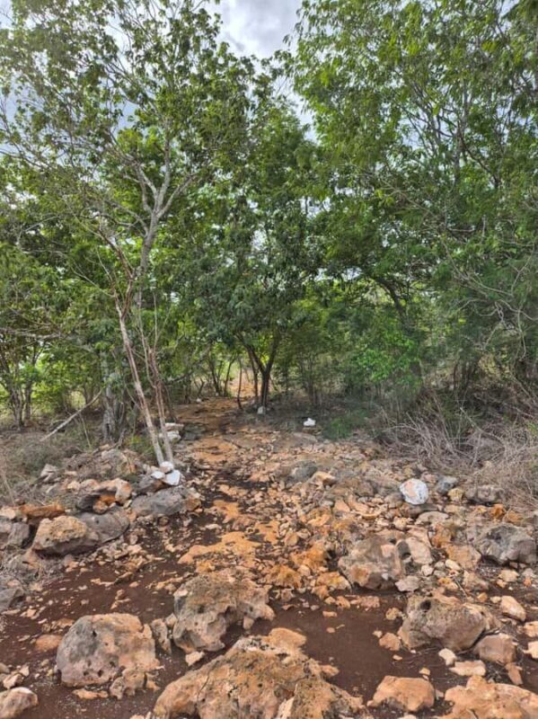 Merida: Hiking, Caving and Bat Watching Tour in the Yucatan - Starting the Day: Journey into the Hillier Yucatan