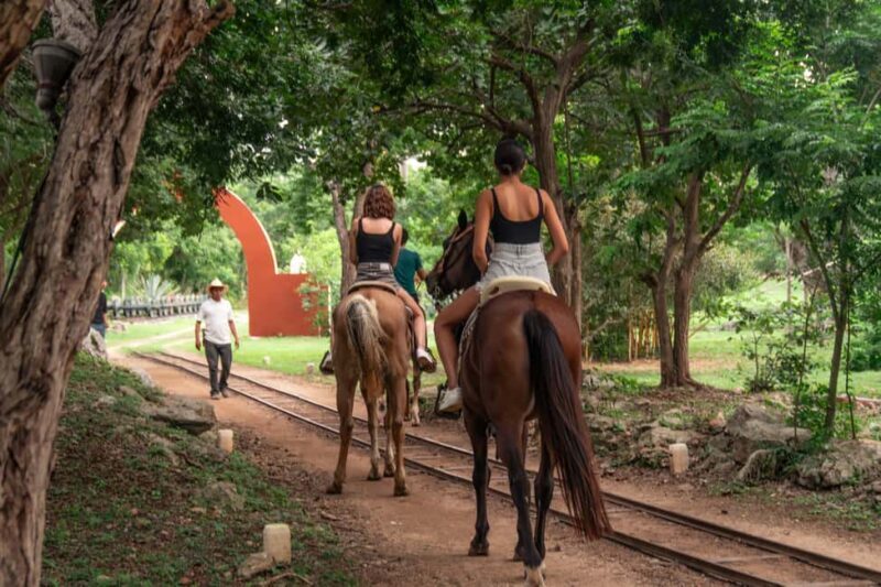 Mérida: Jungle & Cenotes Tour with Horseriding & Lunch - Introduction