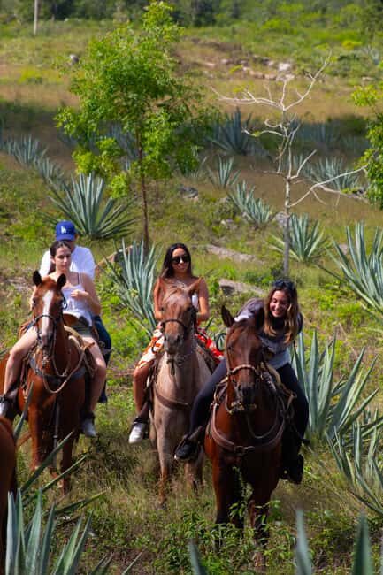 Mérida: Jungle & Cenotes Tour with Horseriding & Lunch - Who Will Love This Tour?