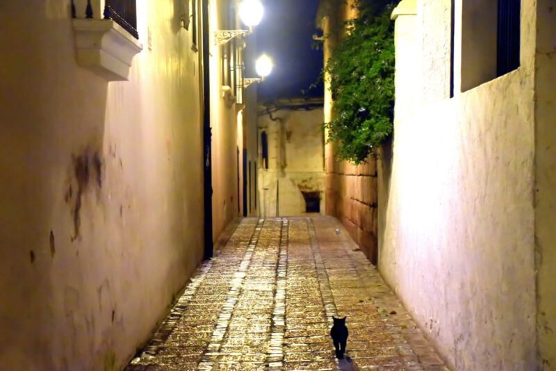 Merida: Legends and Mysteries Night Tour - Practical Tips for Your Night Tour