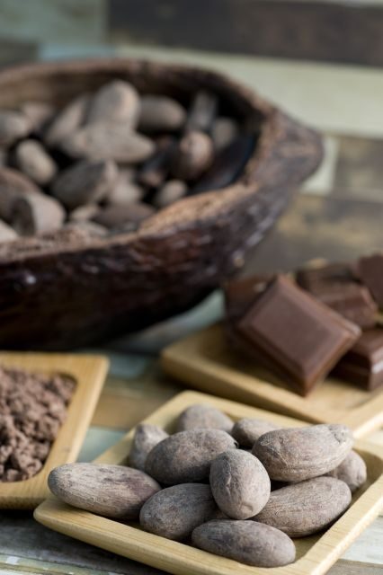 Mérida: Uxmal and Chocolate Museum Choco-Story - FAQ Section