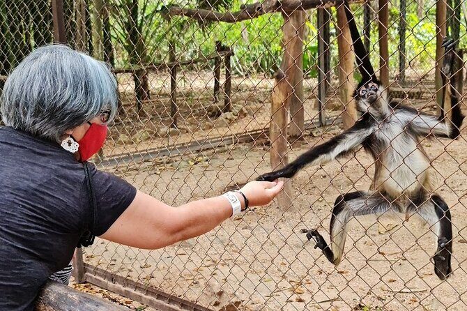Merida : Uxmal, Chocolate Museum and Cenote with lunch and pick up - An In-Depth Look at the Uxmal, Chocolate Museum, and Cenote Tour