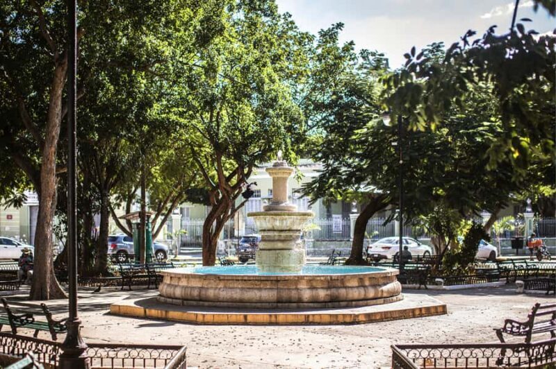 Mérida: Yucatan Flavours Food Tour with 15+ Tastings - FAQ