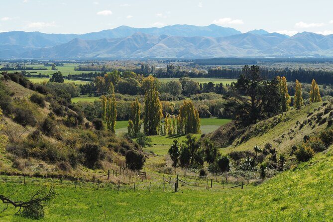 Merino Farm Experience - A Closer Look at the Merino Farm Experience