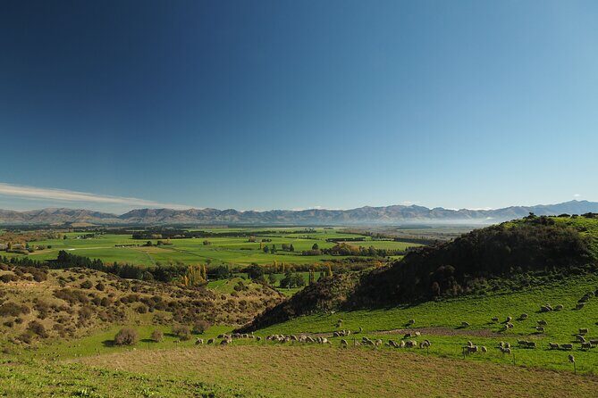 Merino Farm Experience - Final Thoughts