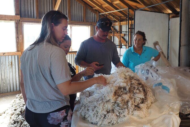 Merino Farm Experience - Frequently Asked Questions (FAQs)