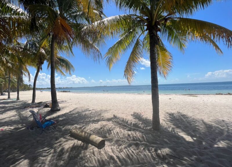 Mermaid Snorkel and Video Shoot - West Palm Beach - Who Will Love This Experience?