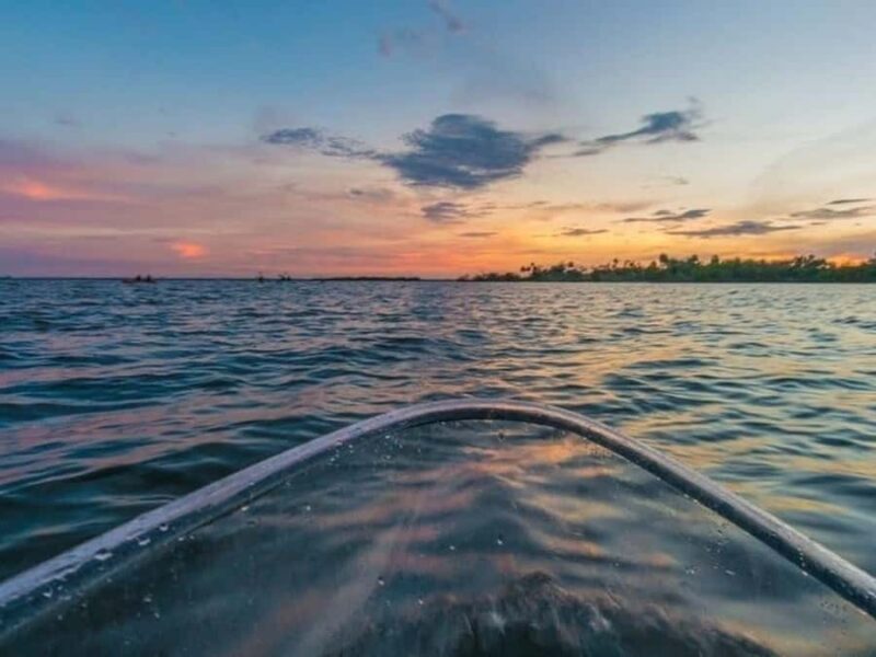 Merritt Island: Clear Kayak Wildlife Tour in National Refuge - What to Expect from the Merritt Island Wildlife Kayak Tour