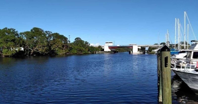 Merritt Island: Single & Double Kayak Rental - Real Traveler Insights