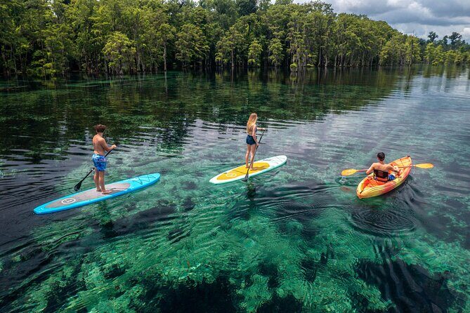 Merritts Mill Pond Eco Adventure - An In-Depth Look at Merritts Mill Pond Eco Adventure