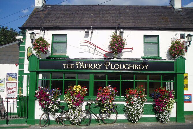 Merry Ploughboys Irish Night Dublin Admission Ticket - Who Should Consider This Experience?