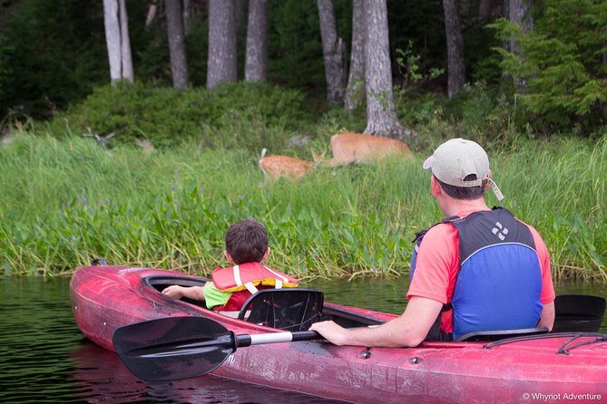 Mersey River Quickie Adventure - 2 Hours - FAQ