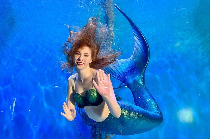 Mertailor's Mermaid Aquarium Encounter General Admission - Who Should Consider This Tour?