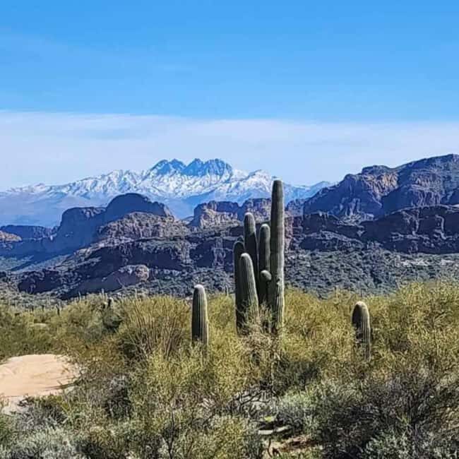 Mesa, AZ: Four Peaks Wilderness Off-Road Tour with Lunch - Exploring Arizona’s Rugged Heart: The Full Experience