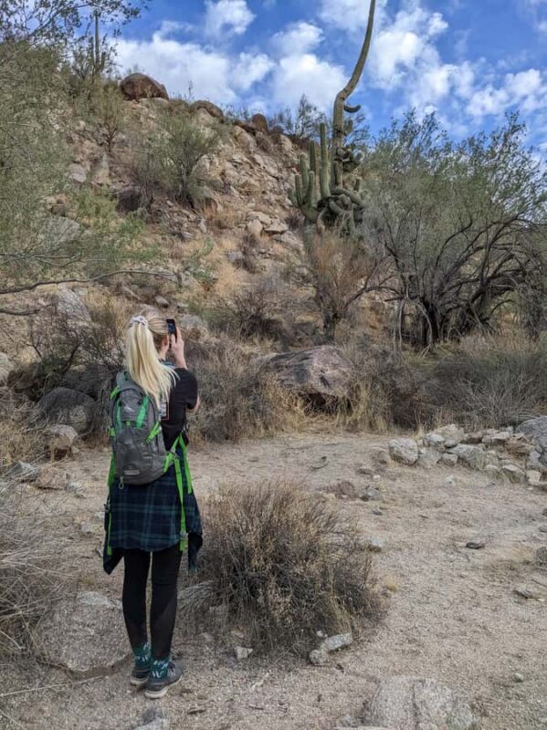 Mesa: Lime Kiln Desert Hike on the Lower Salt River - FAQ